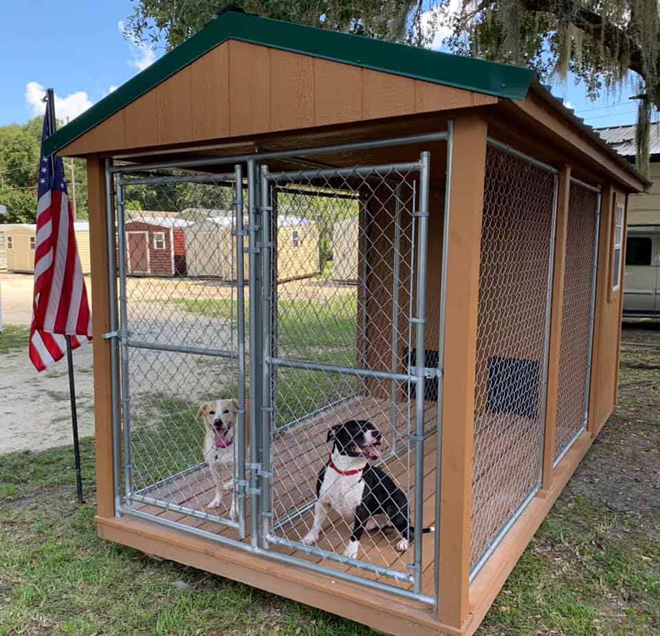 Dog Kennels for sale in Morriston, FL. - ProBuilt Structures